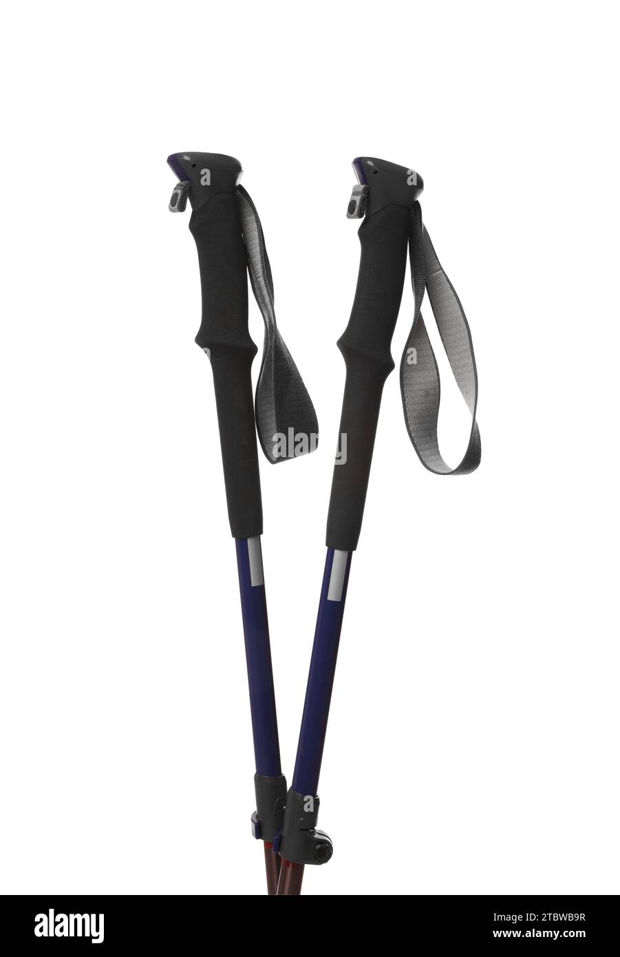 Nordic walking fitness exercise Cut Out Stock Images & Pictures - Alamy