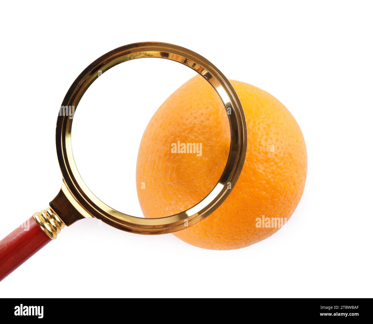 Cellulite problem. Orange and magnifying glass isolated on white, top ...