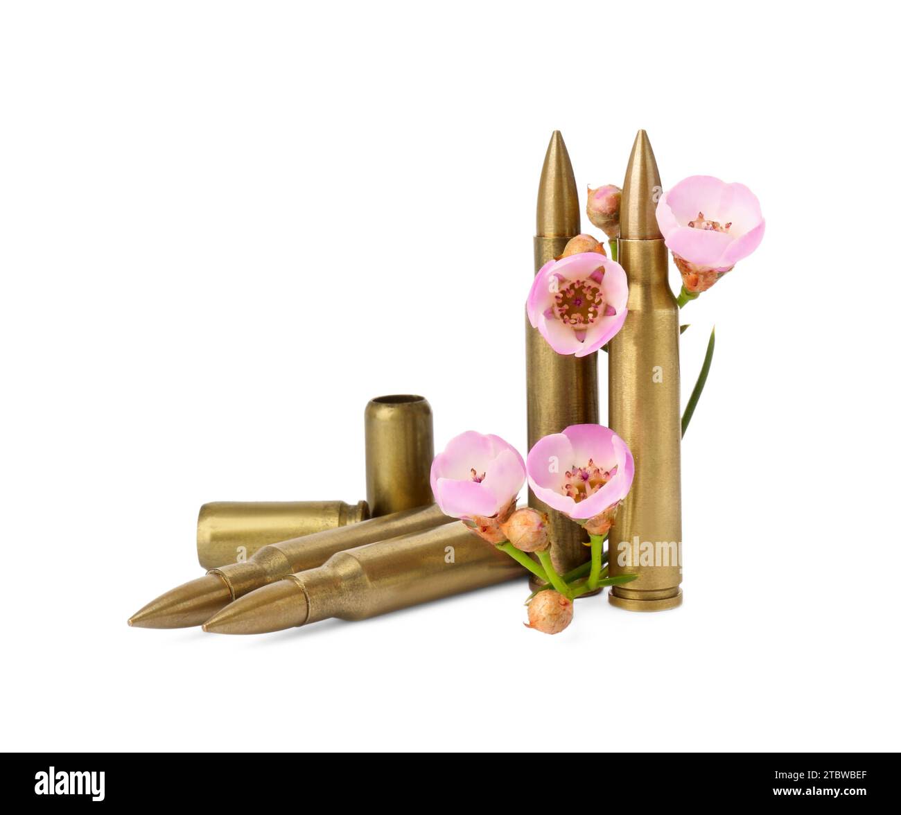 Cases of flowers hi-res stock photography and images - Alamy