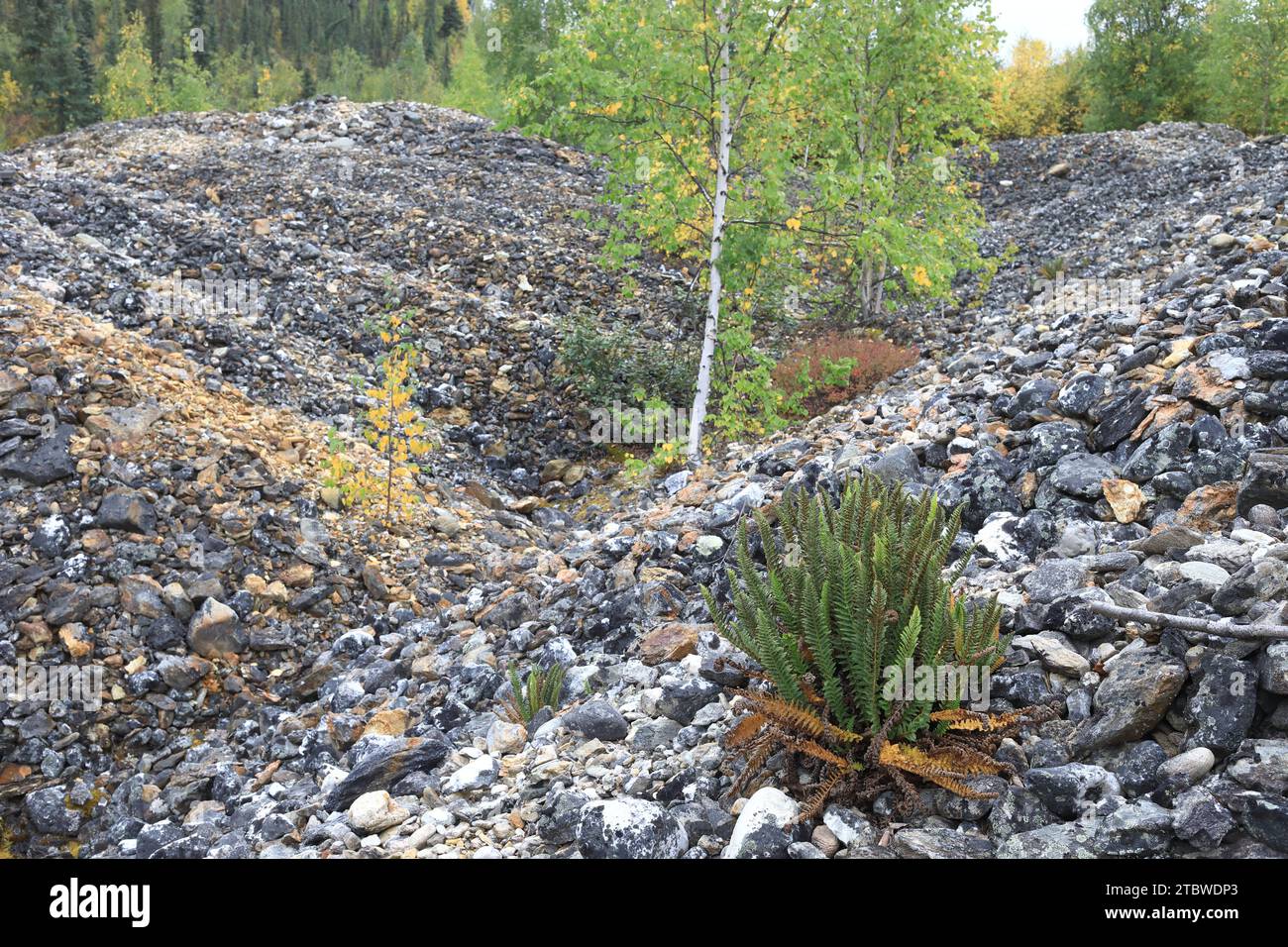 Mined fields hi-res stock photography and images - Alamy