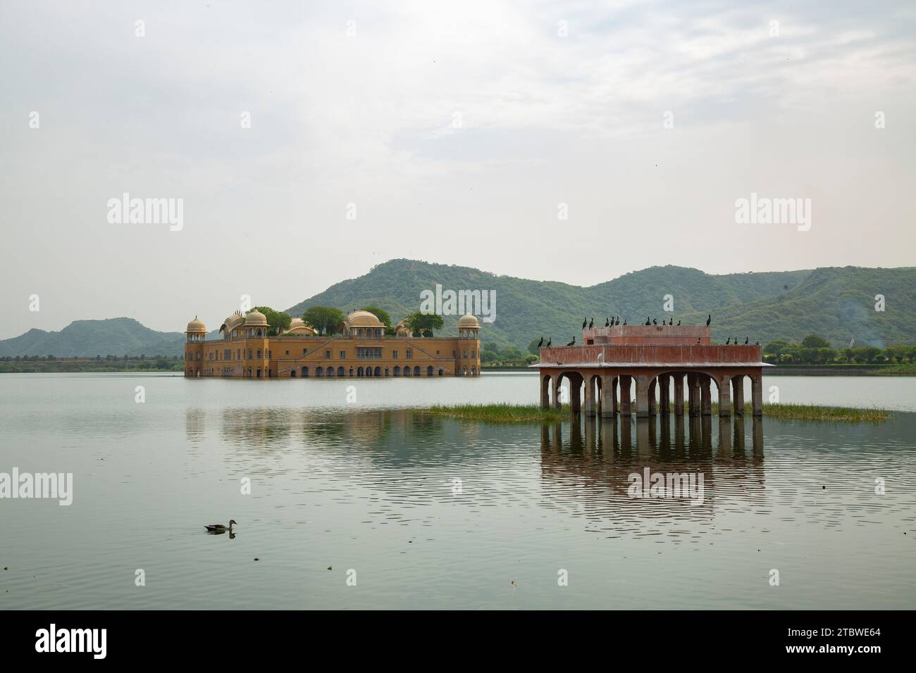 Jal Mahal,water palace, is a palace in the middle of the Man Sagar Lake ...