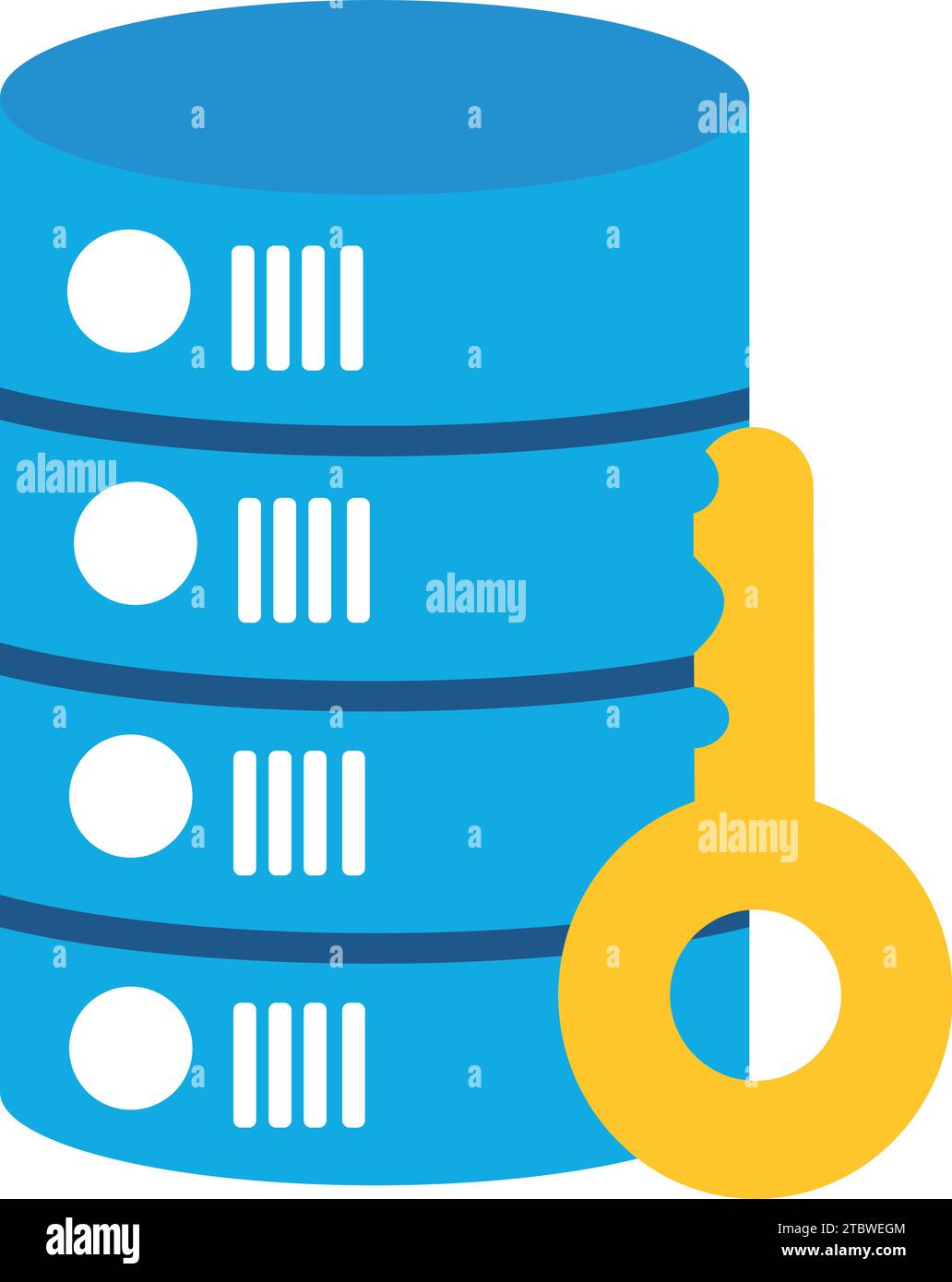 data security design of server and key vector isolated Stock Vector ...