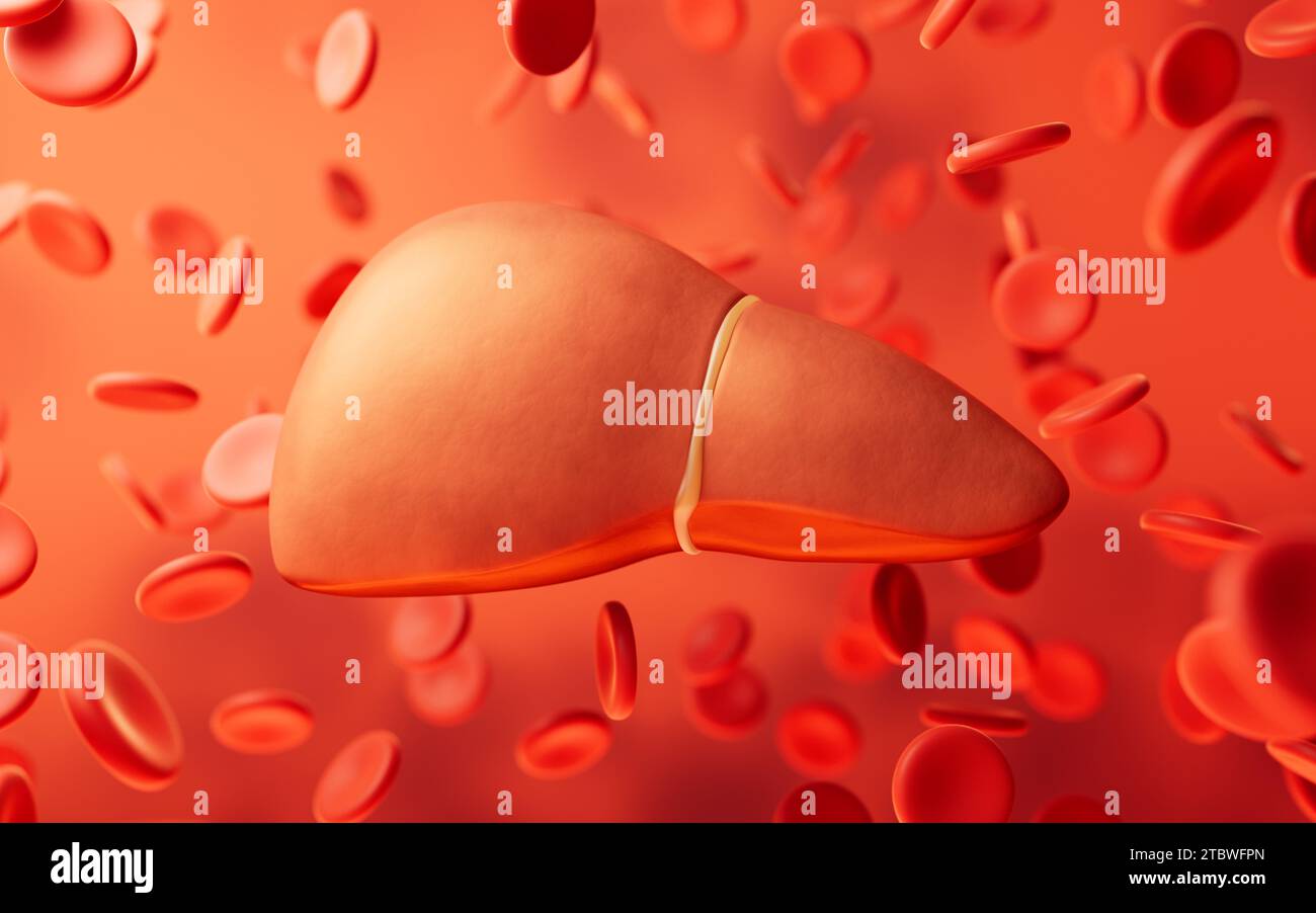 Liver organ with health care concept, 3d rendering. 3D illustration ...
