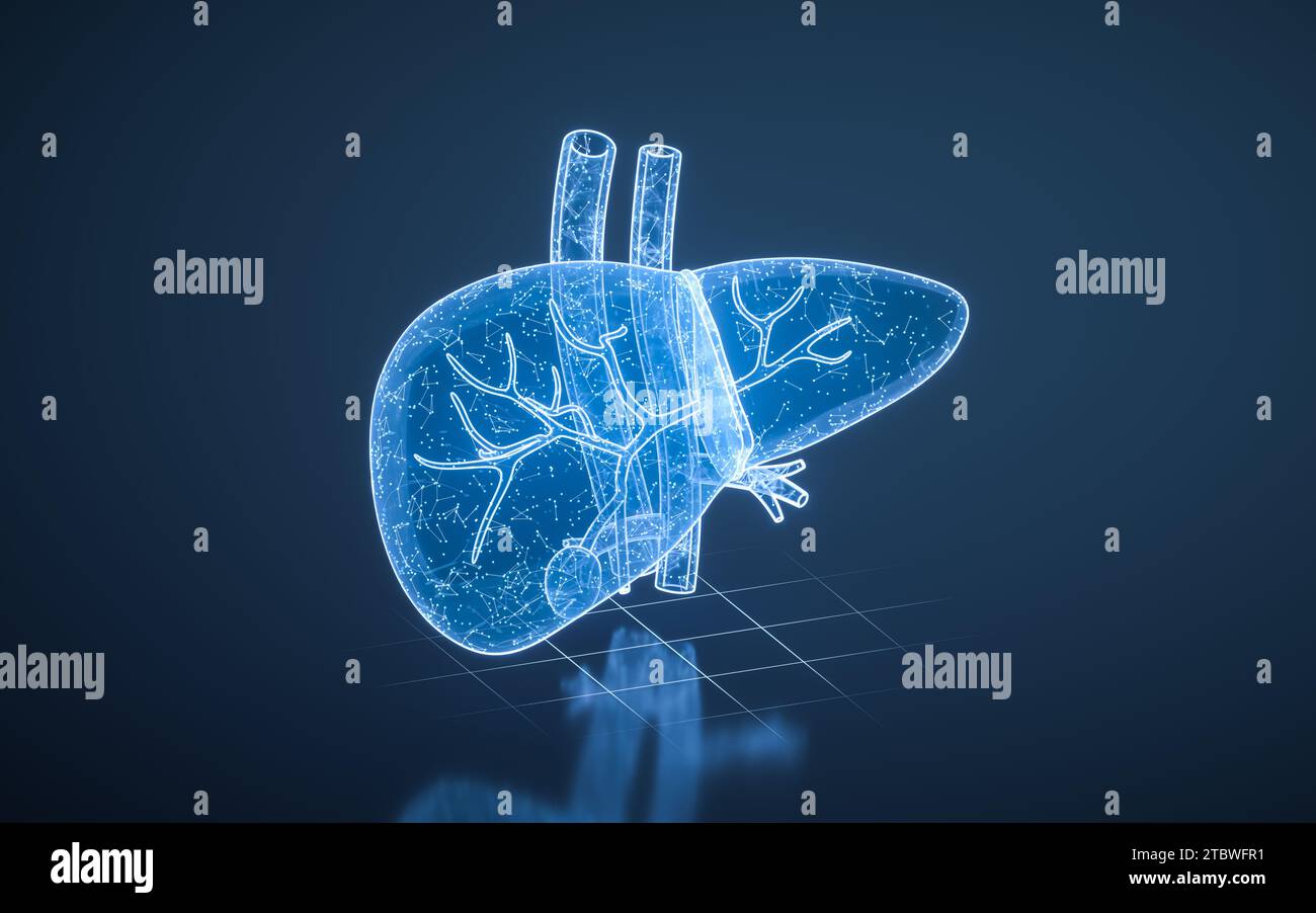 Liver organ with health care concept, 3d rendering. 3D illustration ...