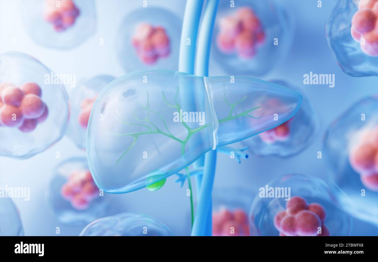 Liver organ with health care concept, 3d rendering. 3D illustration ...