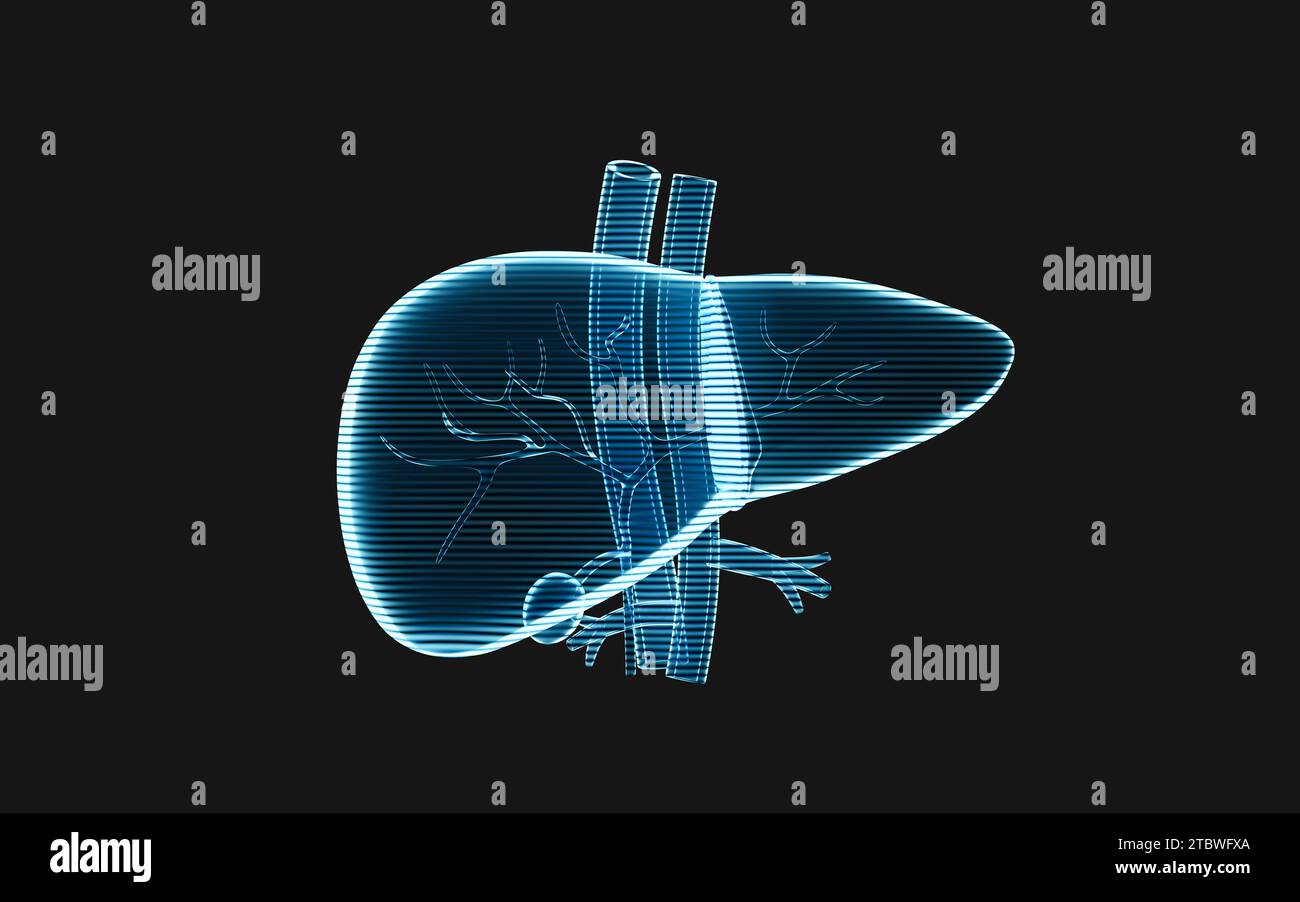 3d illustration liver part hi-res stock photography and images - Alamy