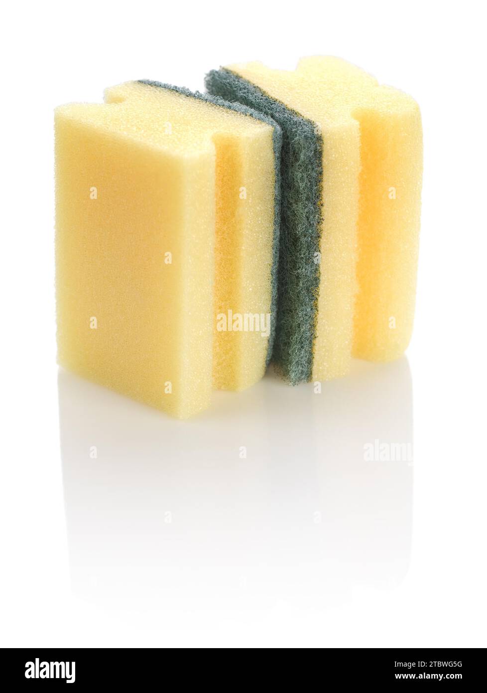 Sponges pattern Cut Out Stock Images & Pictures - Alamy