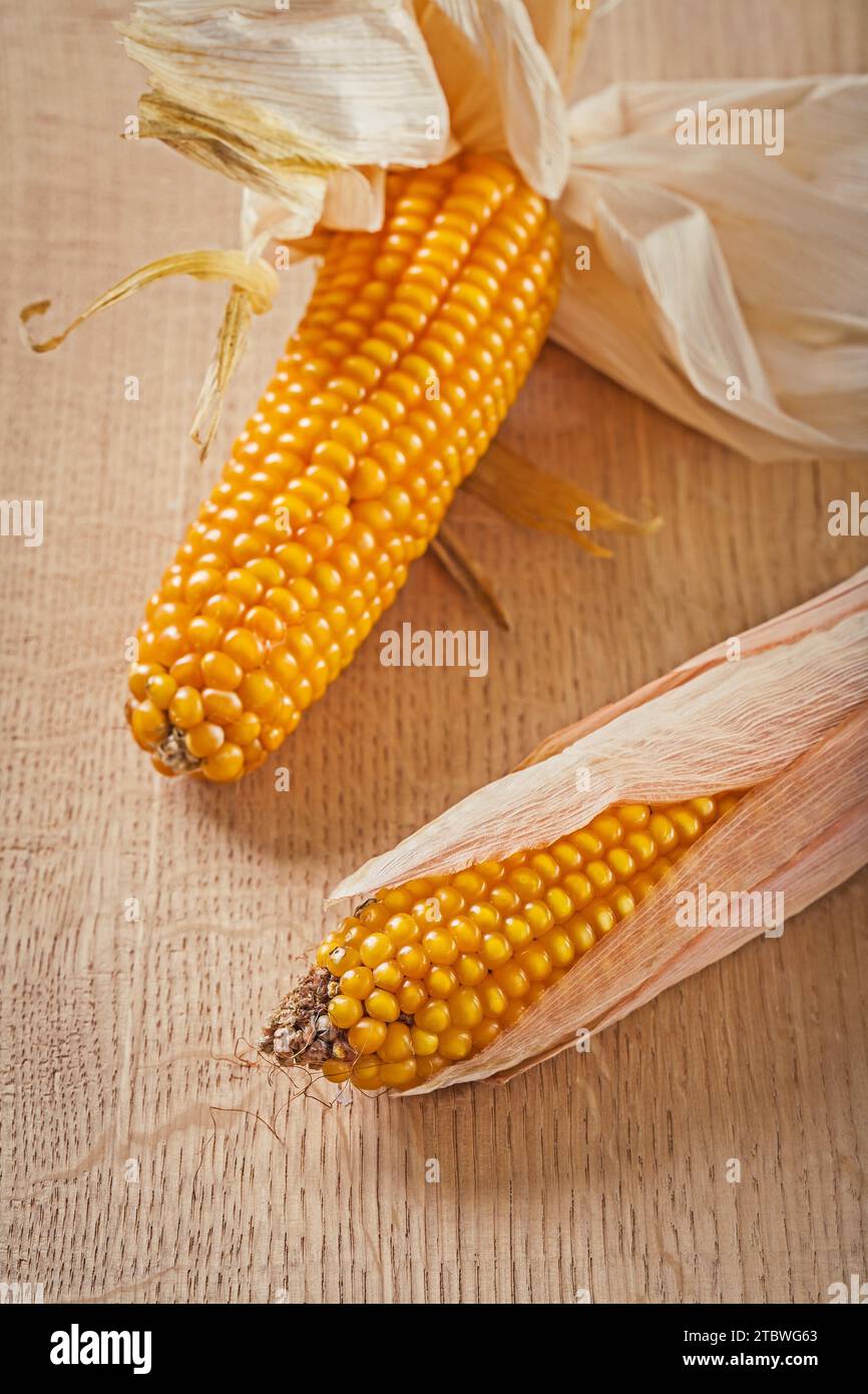 Animal boards hi-res stock photography and images - Alamy