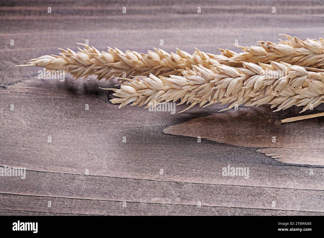 Two ear hi-res stock photography and images - Alamy