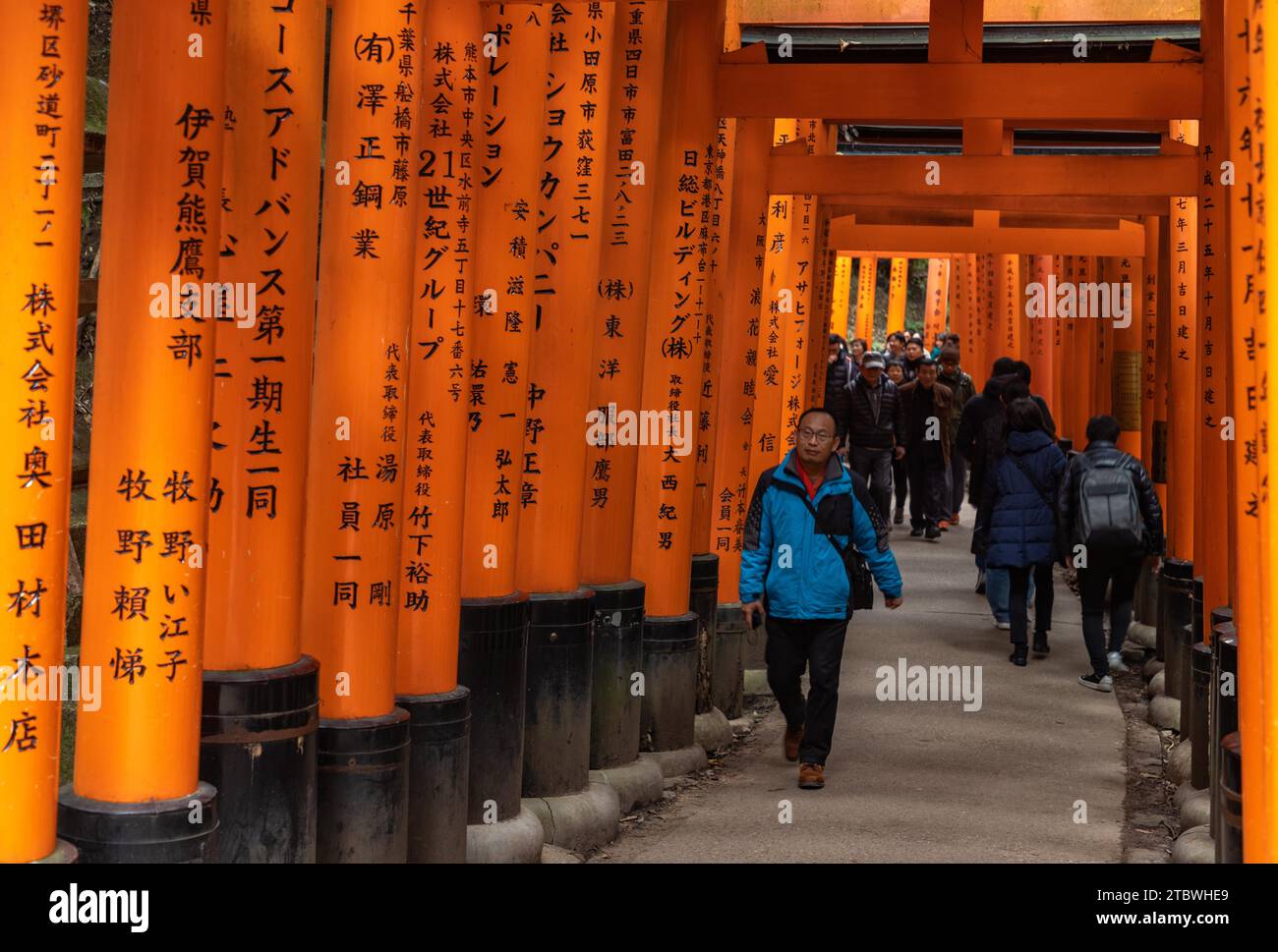 A picture of people going through the Torii gates at the Fushimi Inari ...