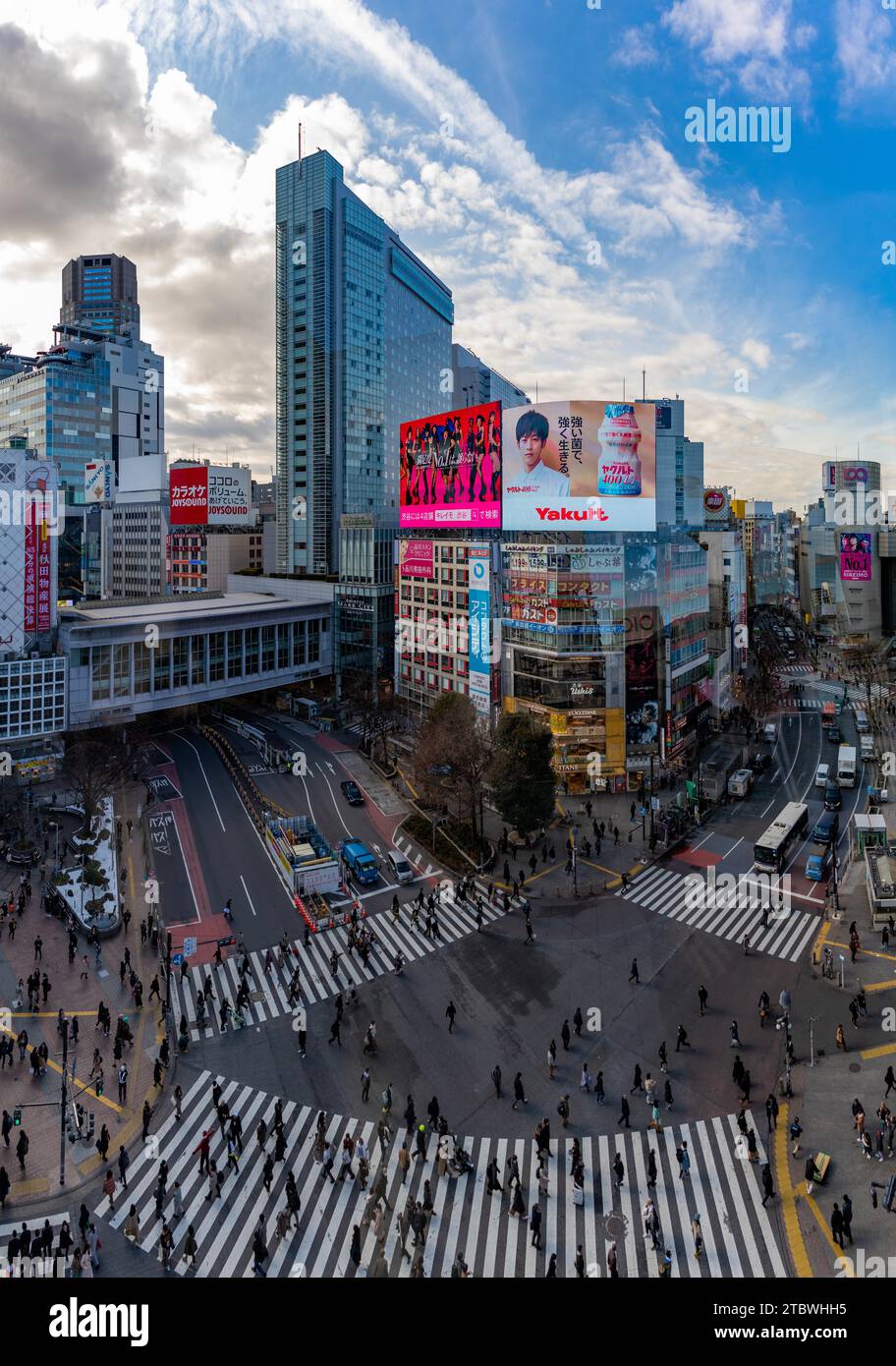 A panorama picture of the Shibuya Crossing, as seen from above, in ...