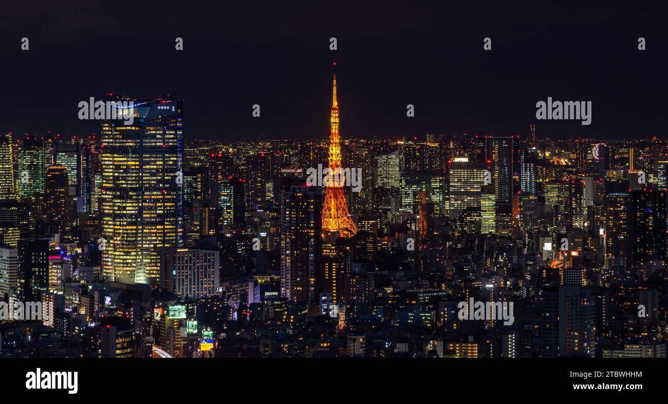 A picture of the Tokyo Tower and its surrounding cityscape at night ...