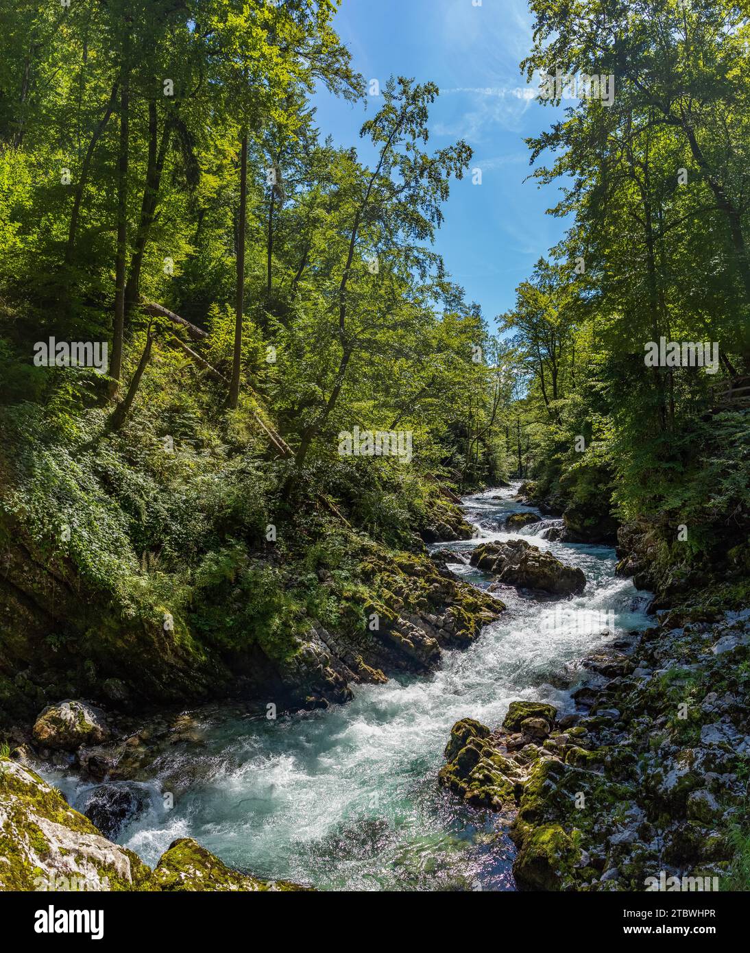 A picture of the Vintgar Gorge, the Radovna Valley river and the ...