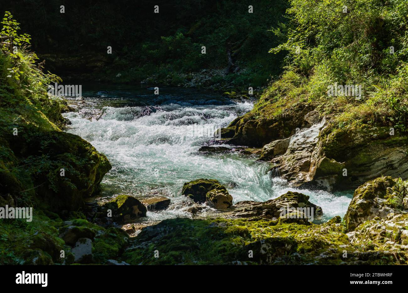A picture of the Vintgar Gorge, the Radovna Valley river and the ...