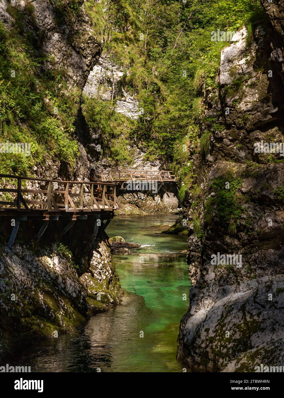 A picture of the Vintgar Gorge, the Radovna Valley river and the ...