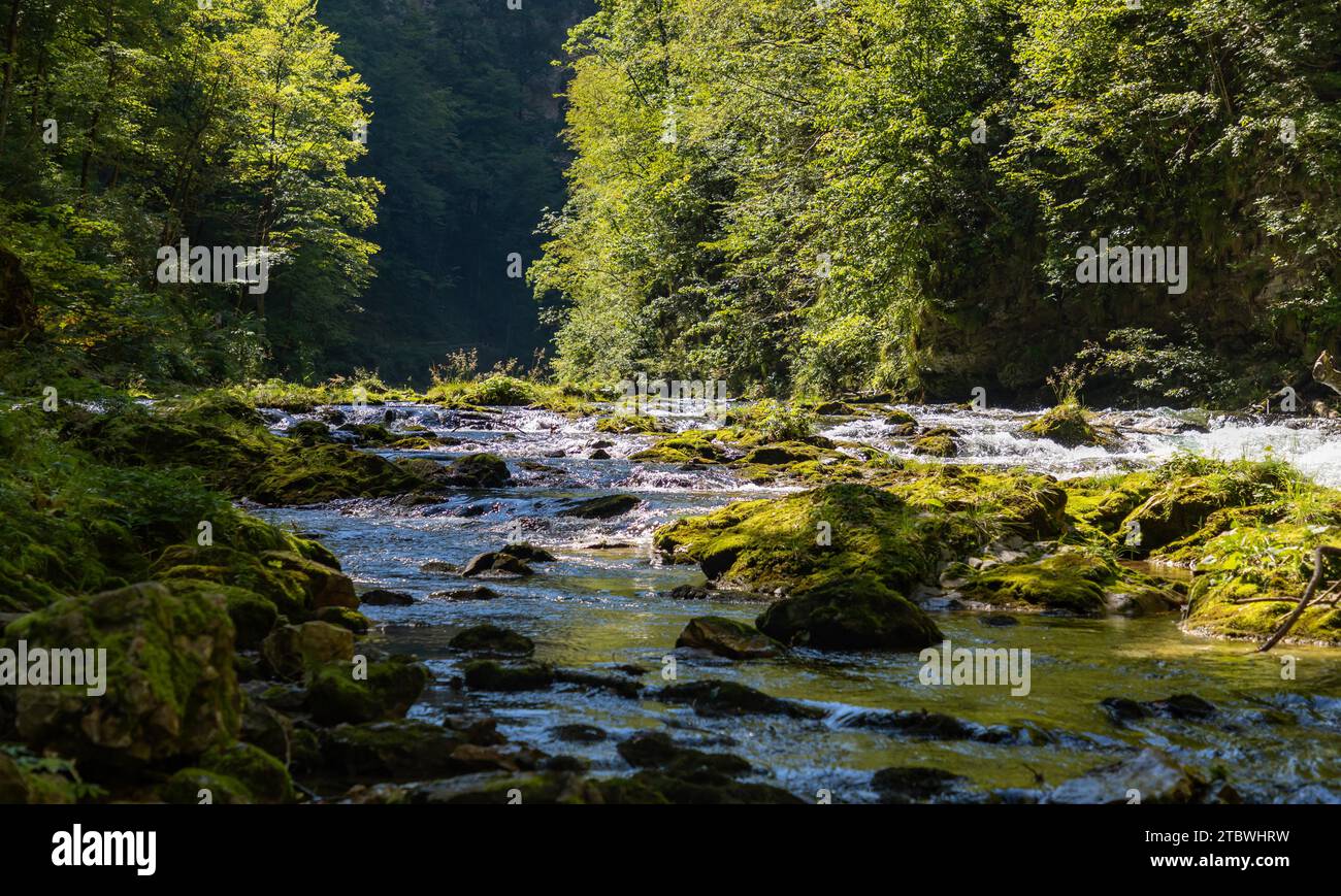 A picture of the Vintgar Gorge, the Radovna Valley river and the ...