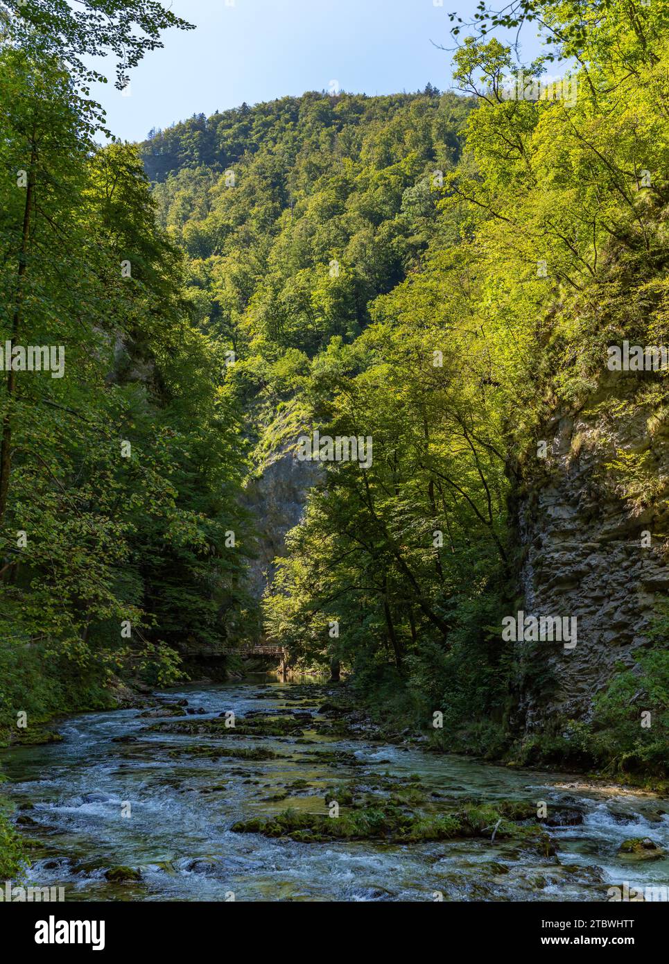 A picture of the Vintgar Gorge, the Radovna Valley river and the ...
