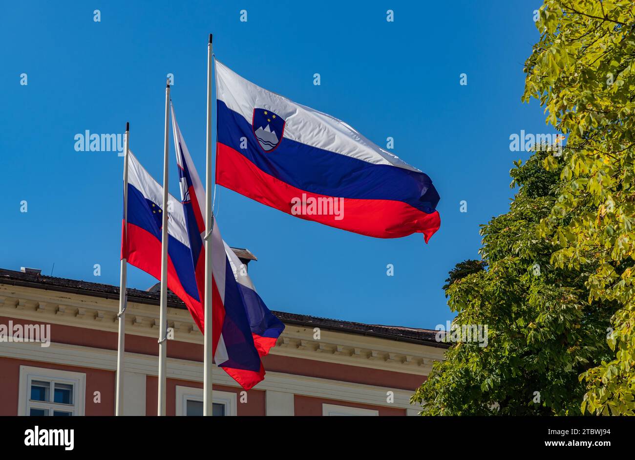 A picture of multiple Slovenian flags waving in the air Stock Photo - Alamy