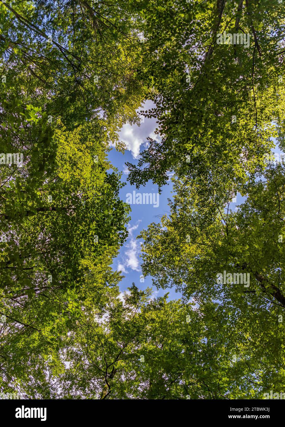 Low level picture hi-res stock photography and images - Alamy