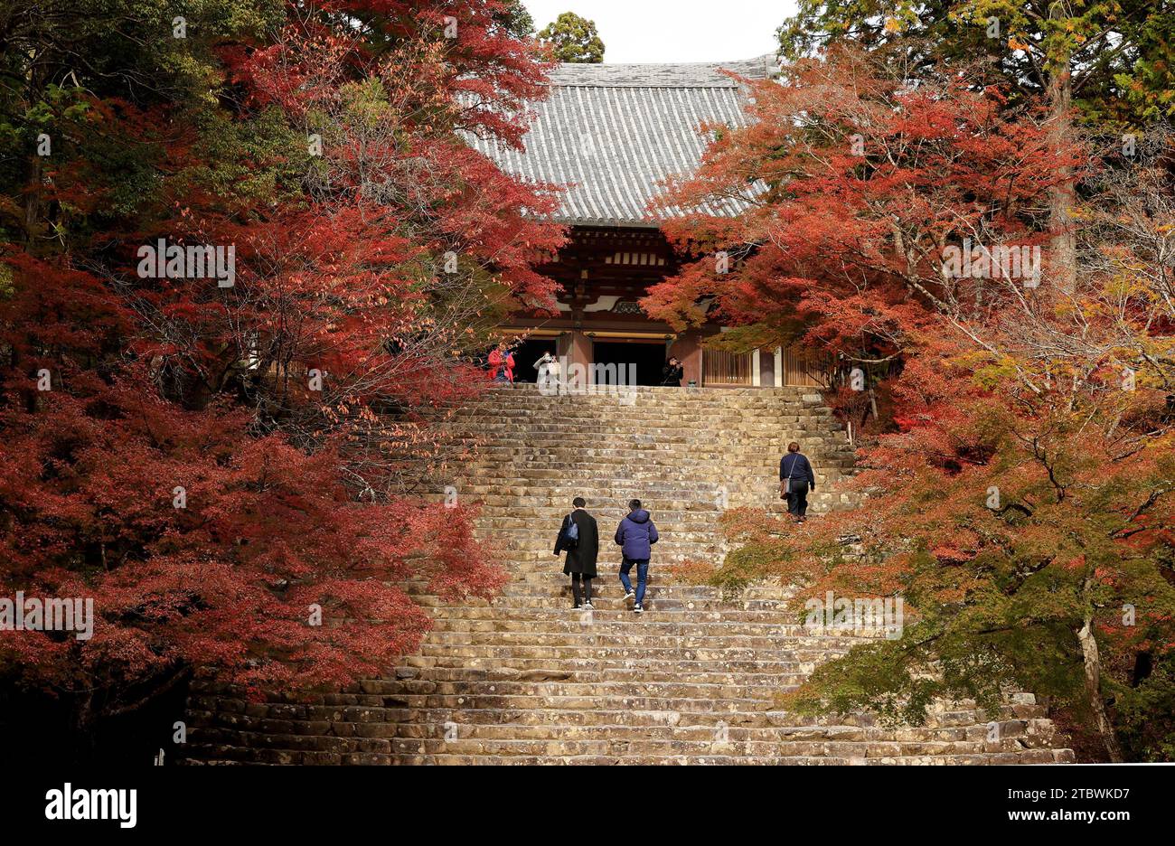 A picture shows Kondo, Golden Hall, at Takaosan Jingoji Temple in Kyoto ...