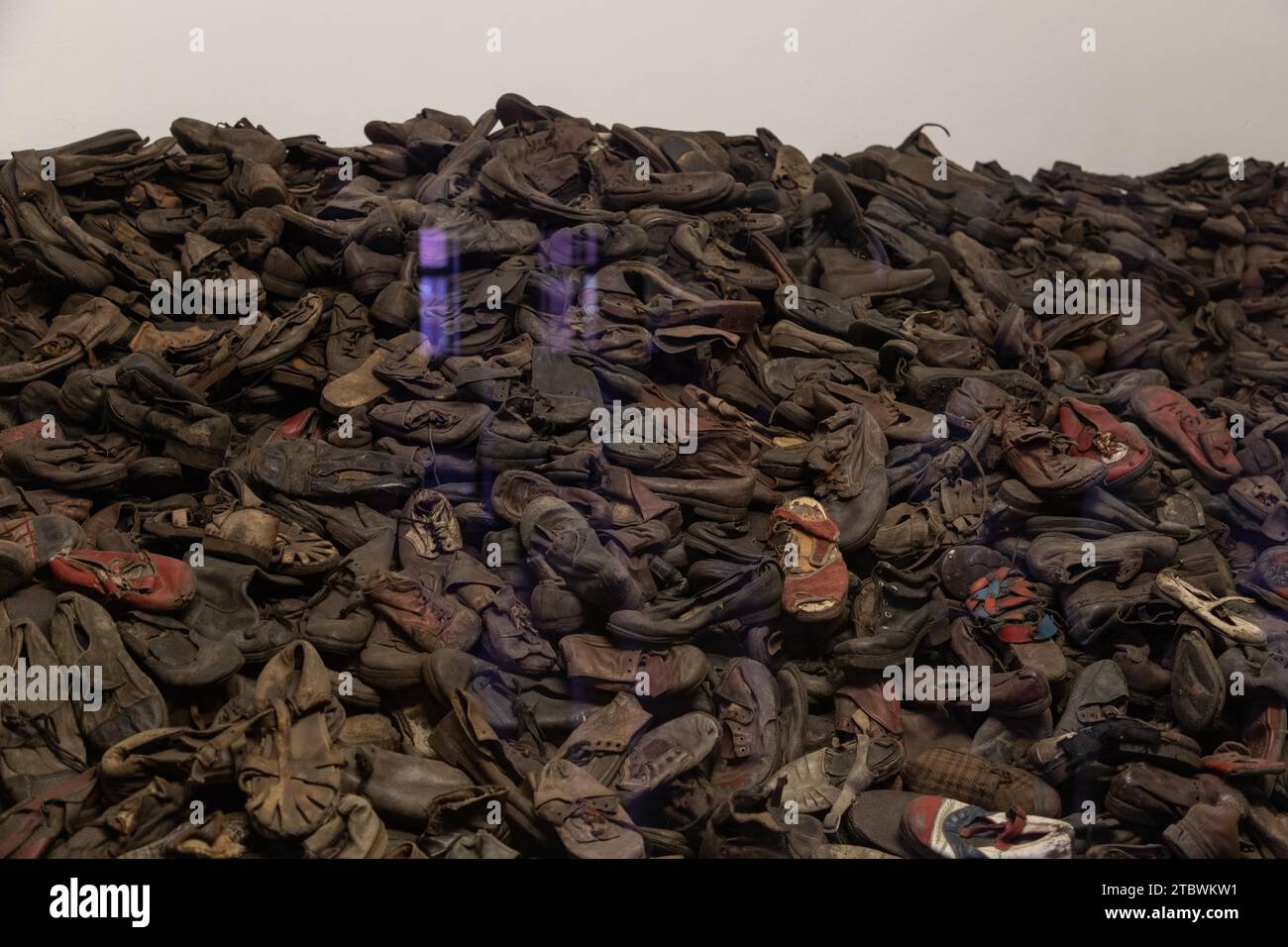 A picture of an exhibit inside the Memorial and Museum Auschwitz I that ...