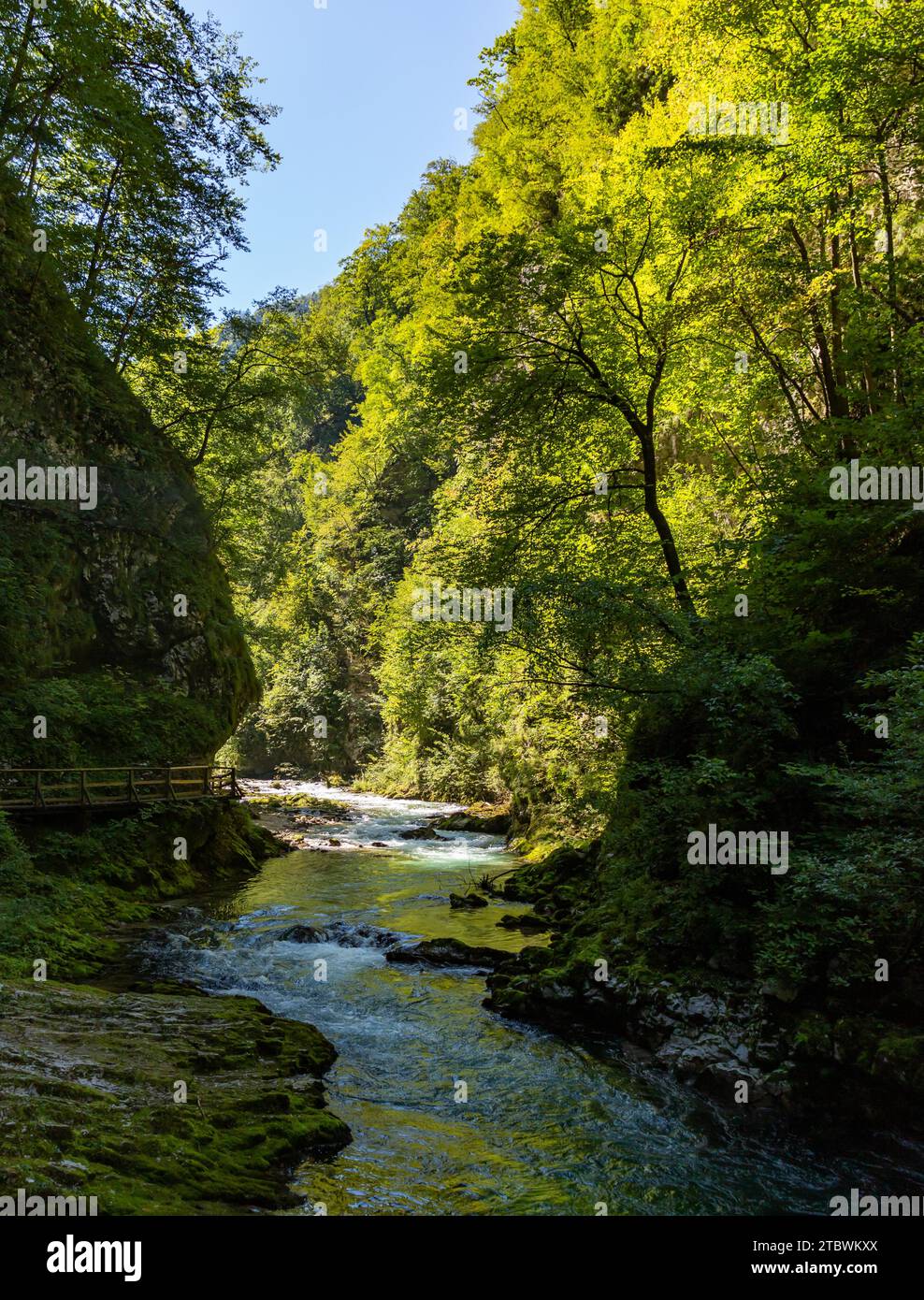 A picture of the Vintgar Gorge, the Radovna Valley river and the ...