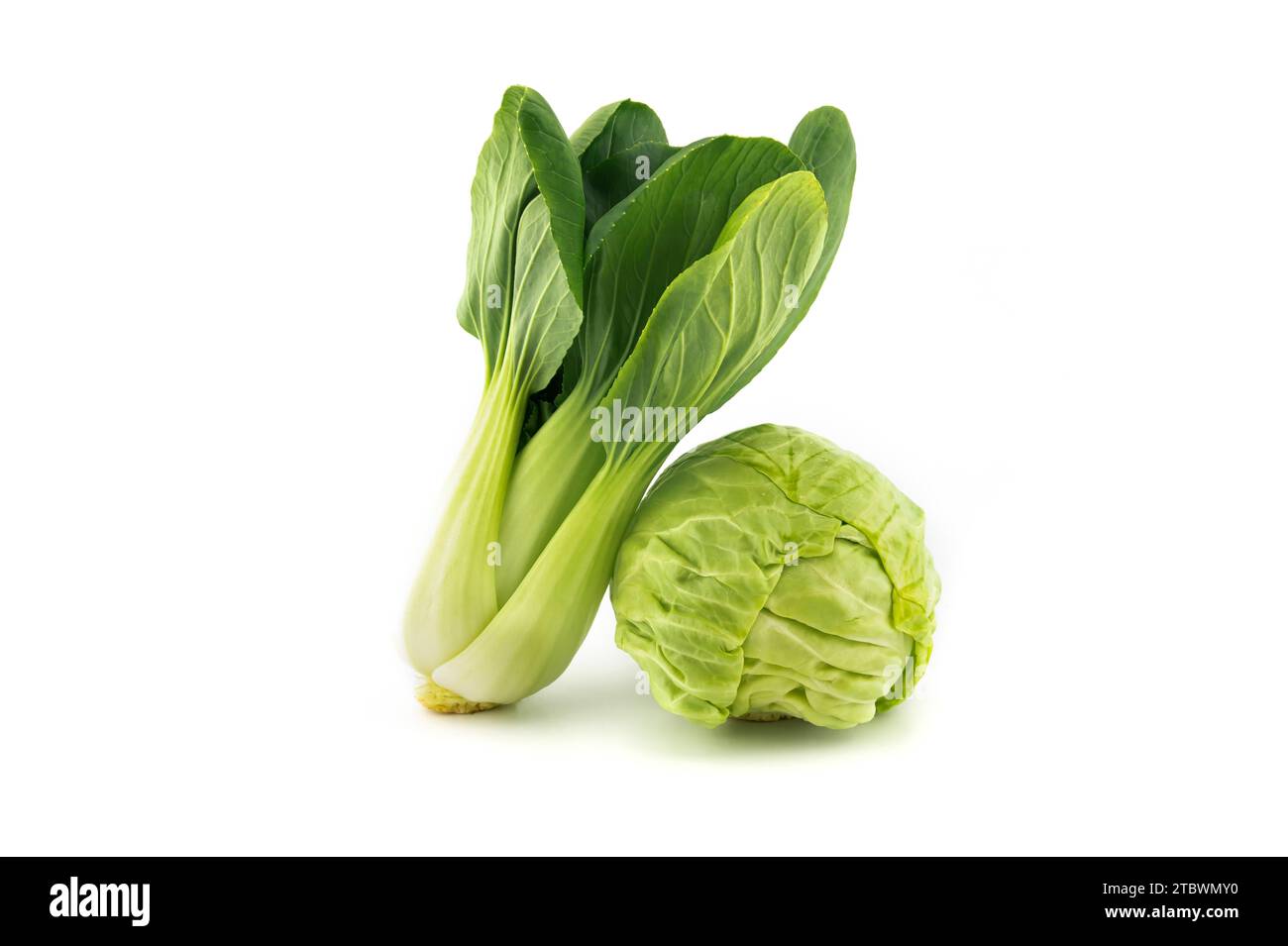 Fresh pak choi cabbage or chinese cabbage and white cabbage isolated on ...