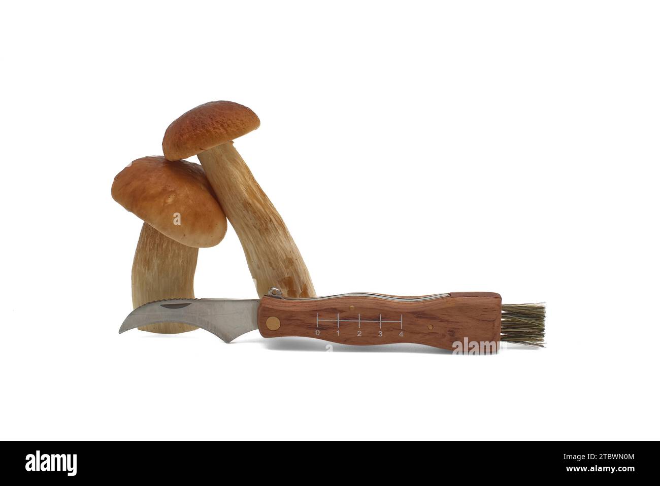 Product picking Cut Out Stock Images & Pictures - Alamy