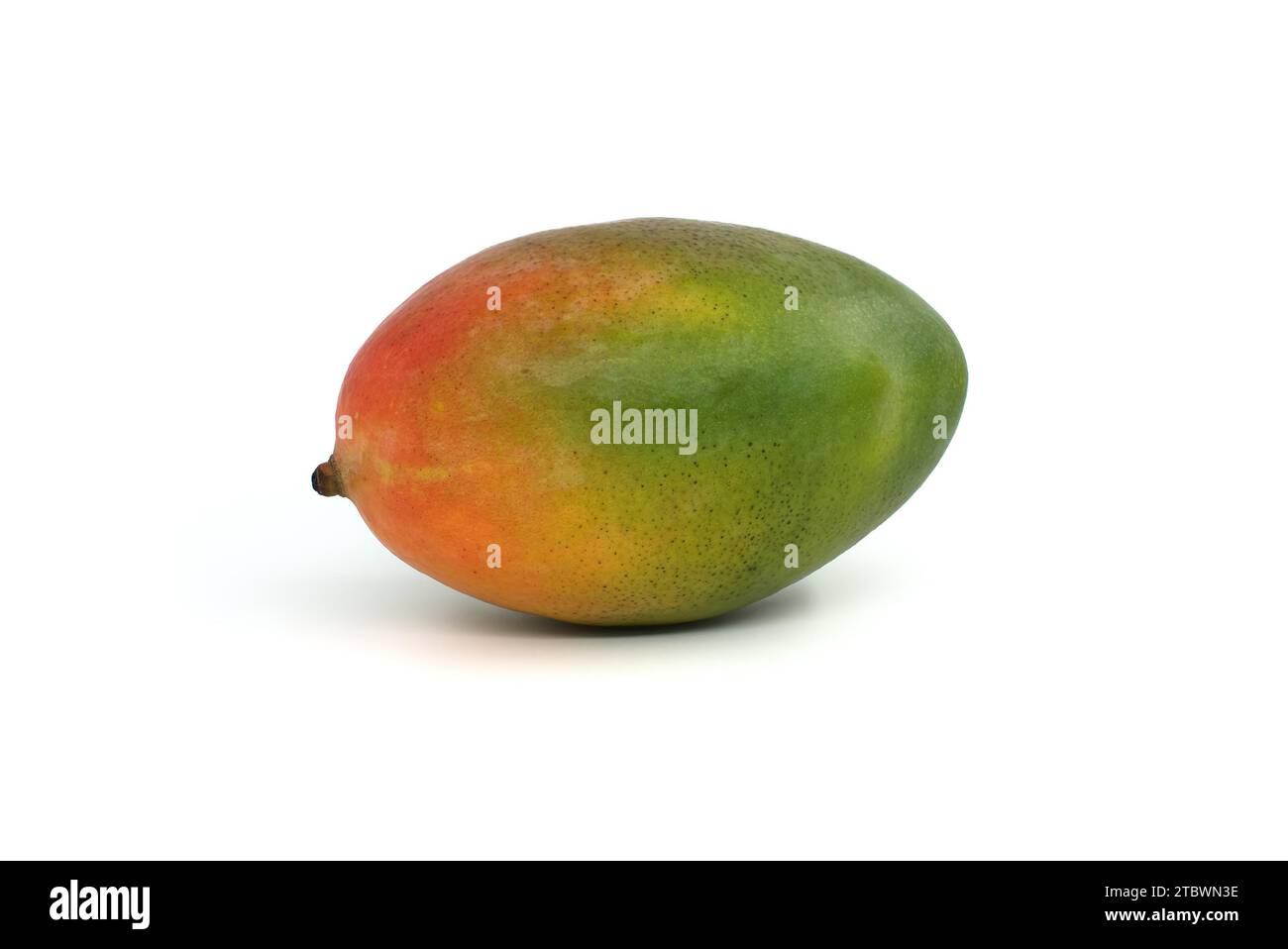 One ripe and nice colored mango fruit isolated on a white background ...