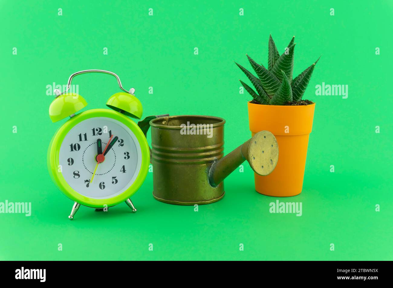 Indoor plant watering schedule concept still life with small vintage ...