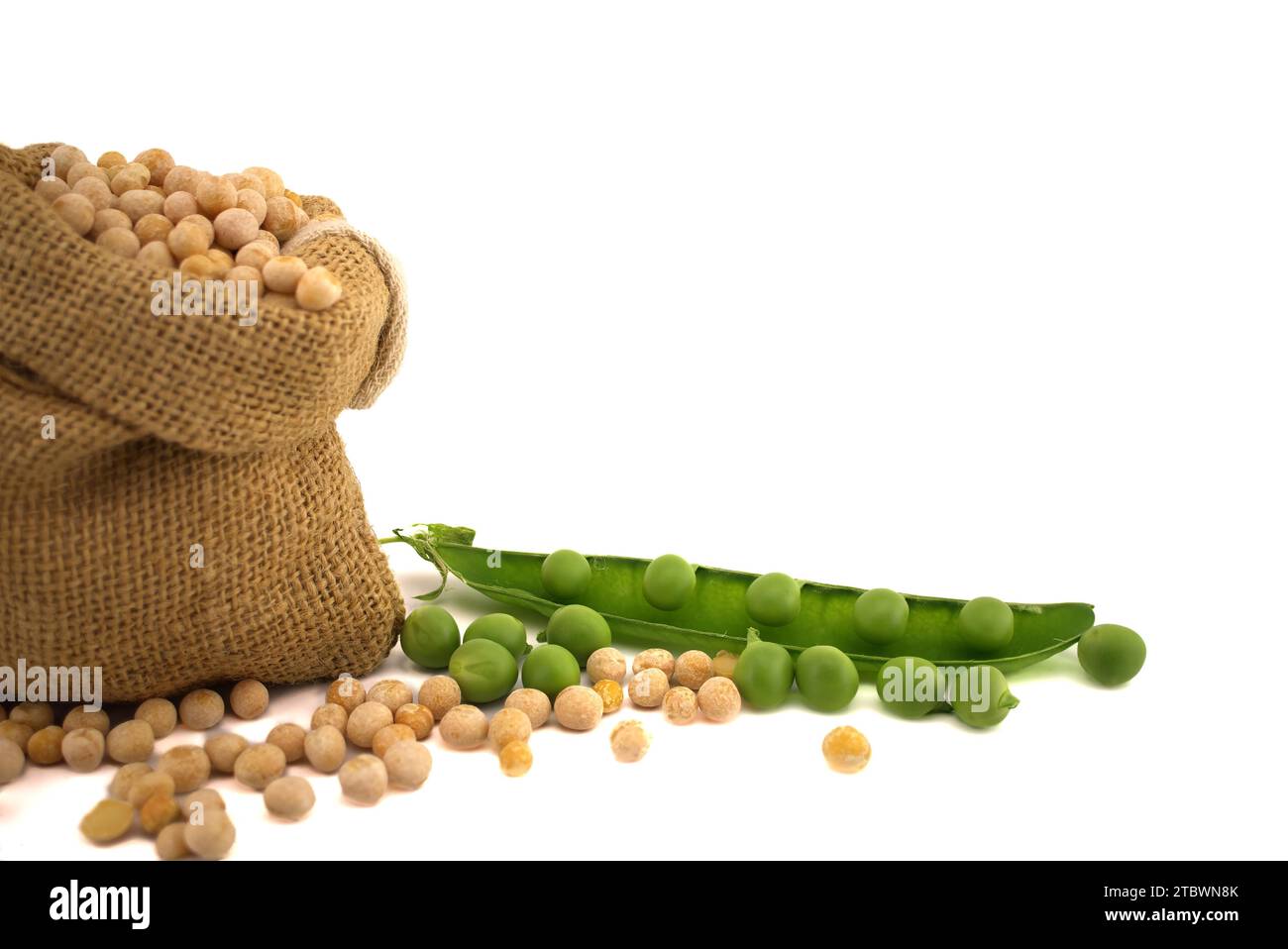 Dried whole peas spilling from a hessian bag near fresh harvest green ...