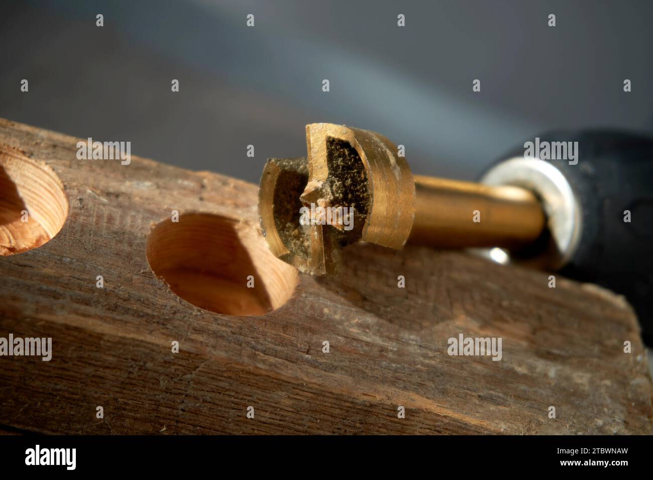 Close up Forstner bit for drilling circular holes with a portable drill ...