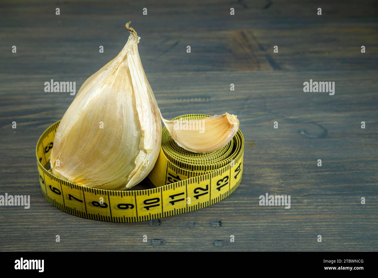 Elephant garlic (Allium ampeloprasum) regular garlic cloves and tape ...