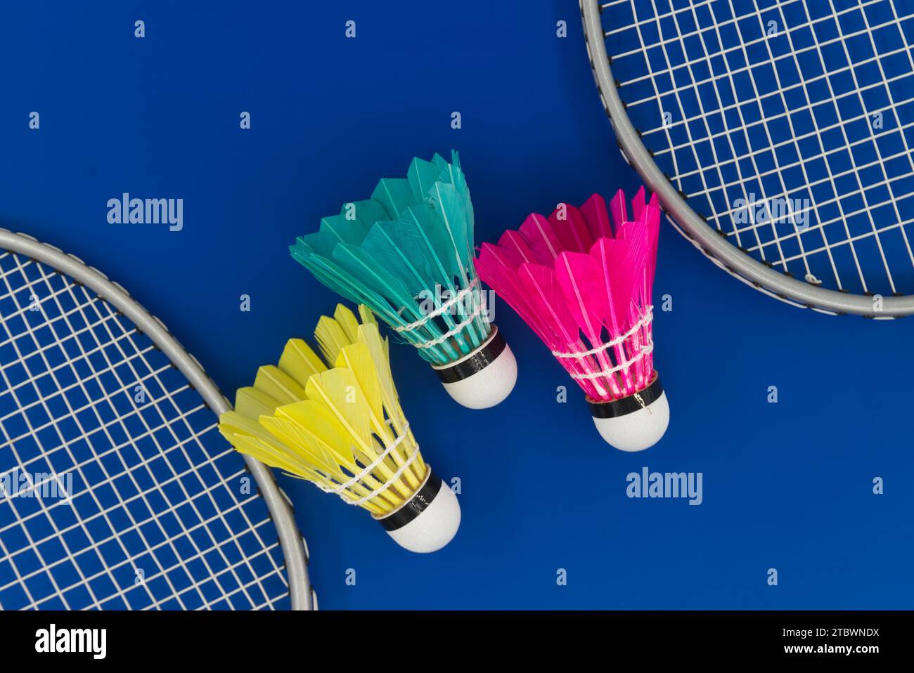 Badminton. Rackets and colorful feathered shuttlecocks in blue, yellow ...