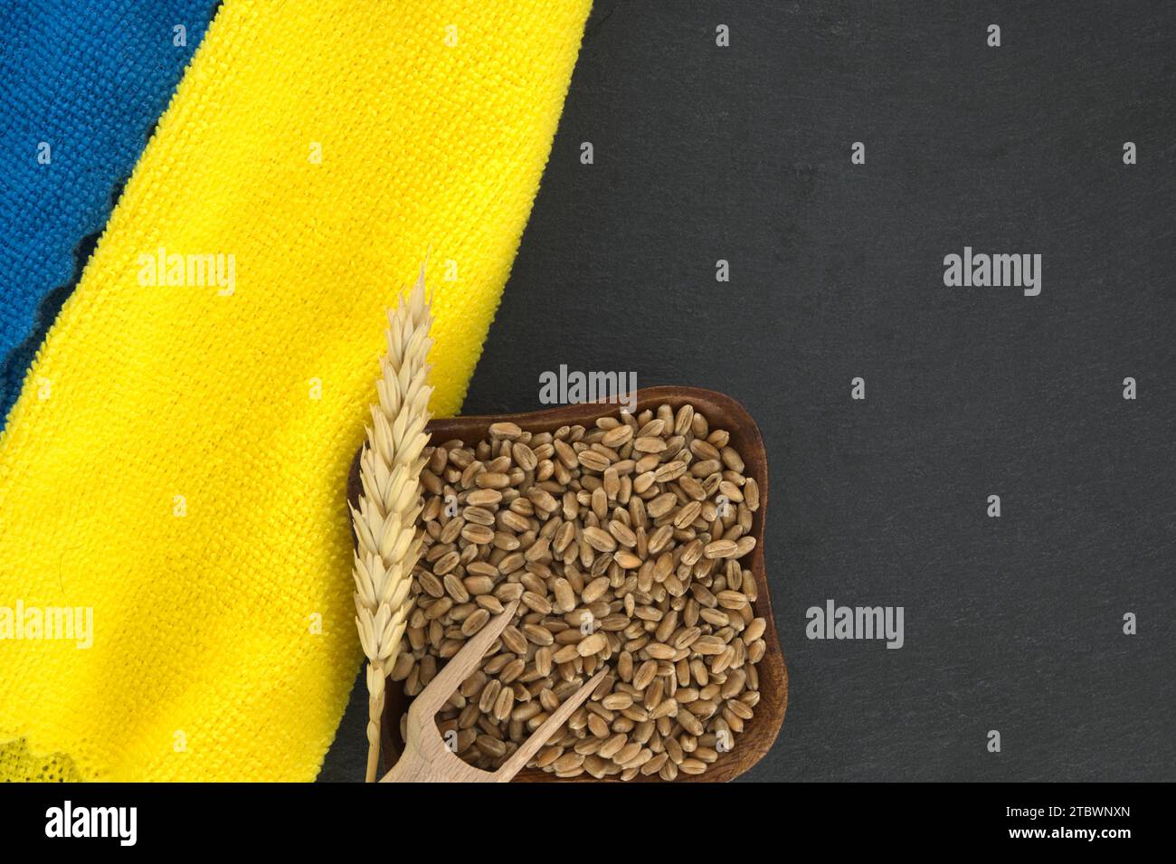 Ukrainian flag colors blue and yellow kitchen towels near wheat seeds ...