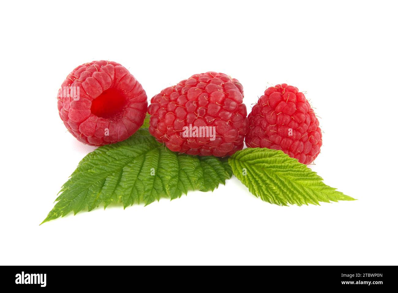 Red ripe raspberry berries with green leaves. Side view, isolated on ...