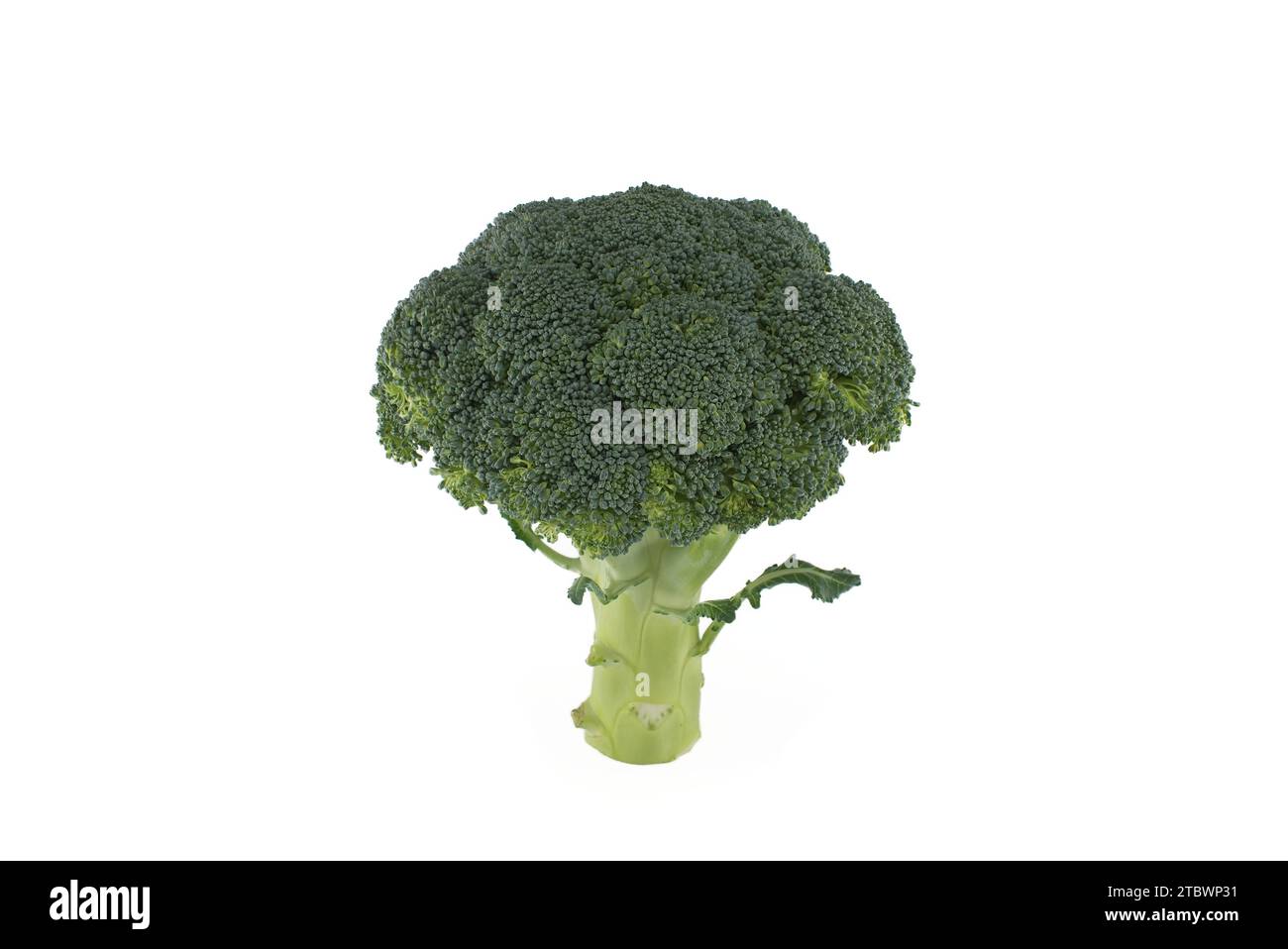 Raw green broccoli hi-res stock photography and images - Alamy