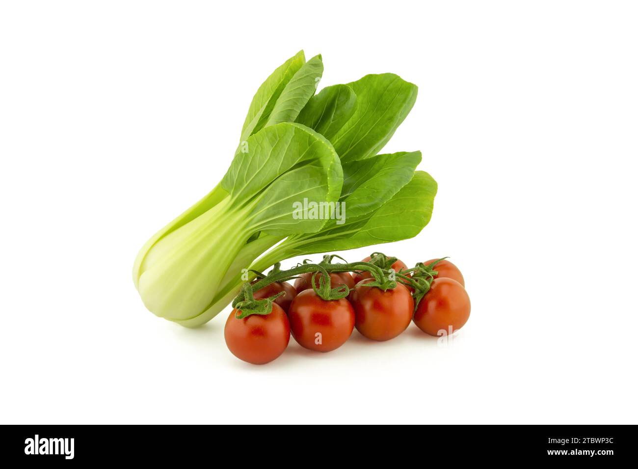 Chinese pak choi cabbage and cherry tomato twig isolated on white ...
