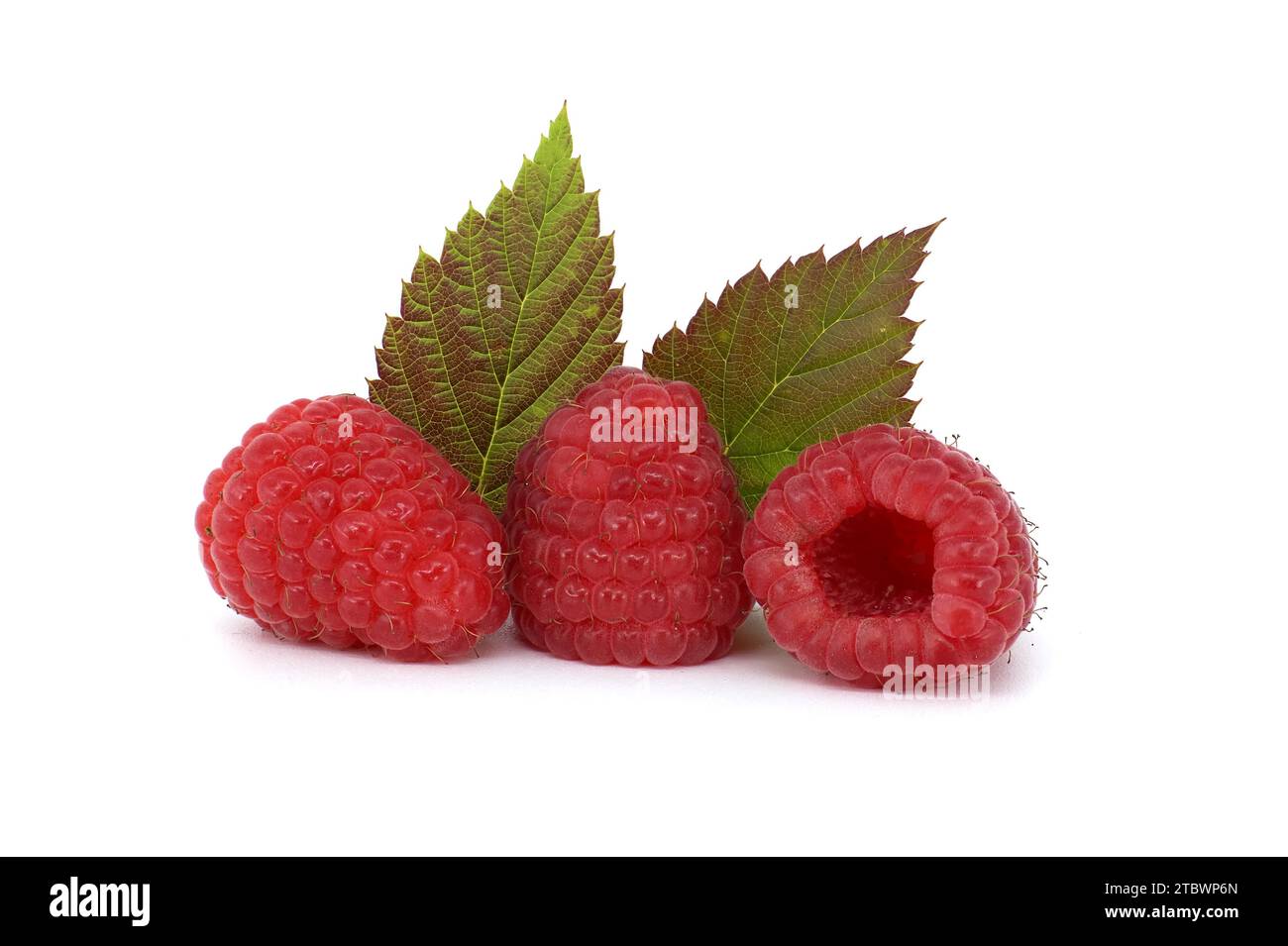 Red ripe raspberry berries with green leaves. Side view, isolated on ...