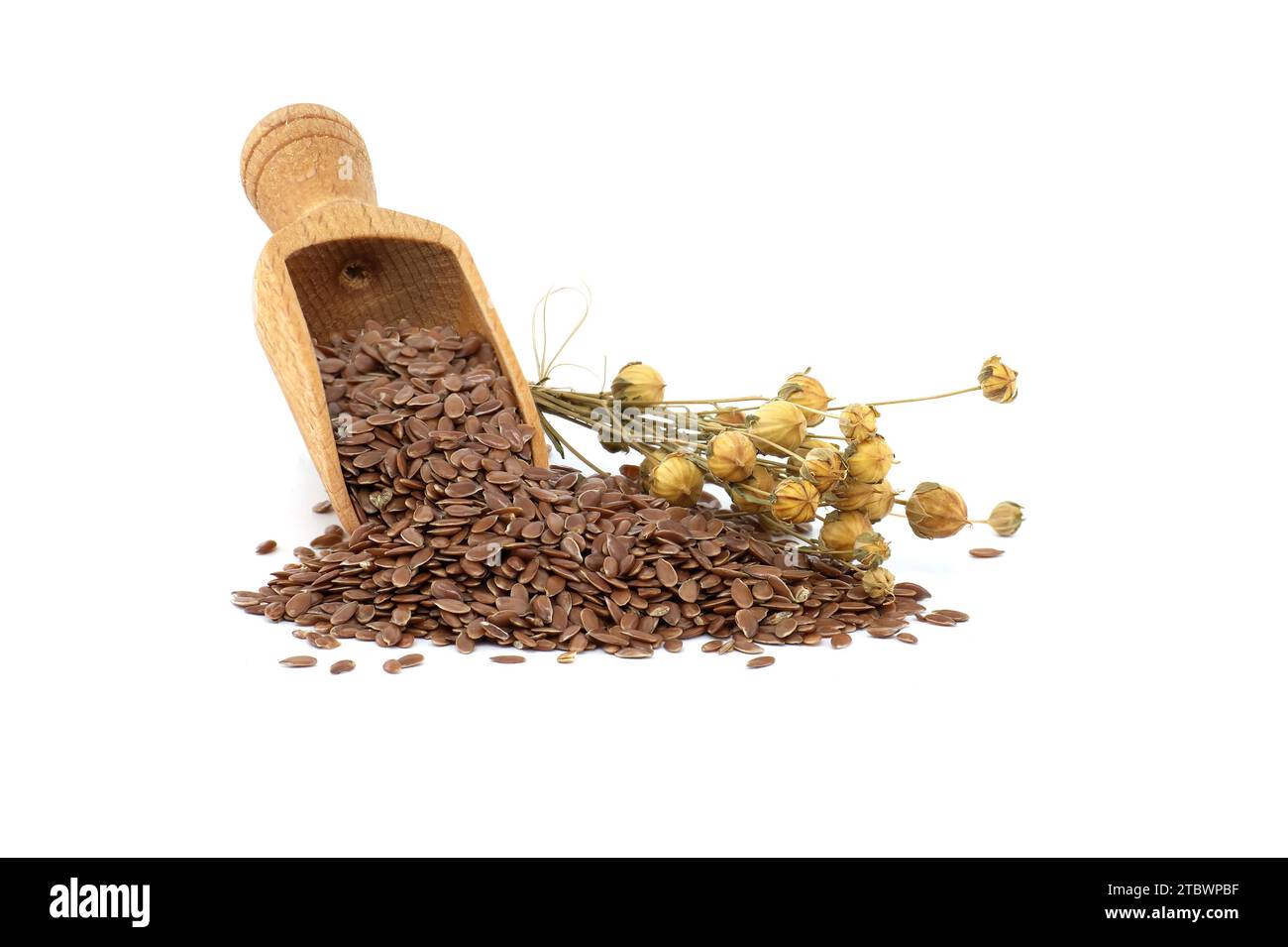 Linseed in wooden scoop near bunch of flax plants isolated on white background. Linum ...