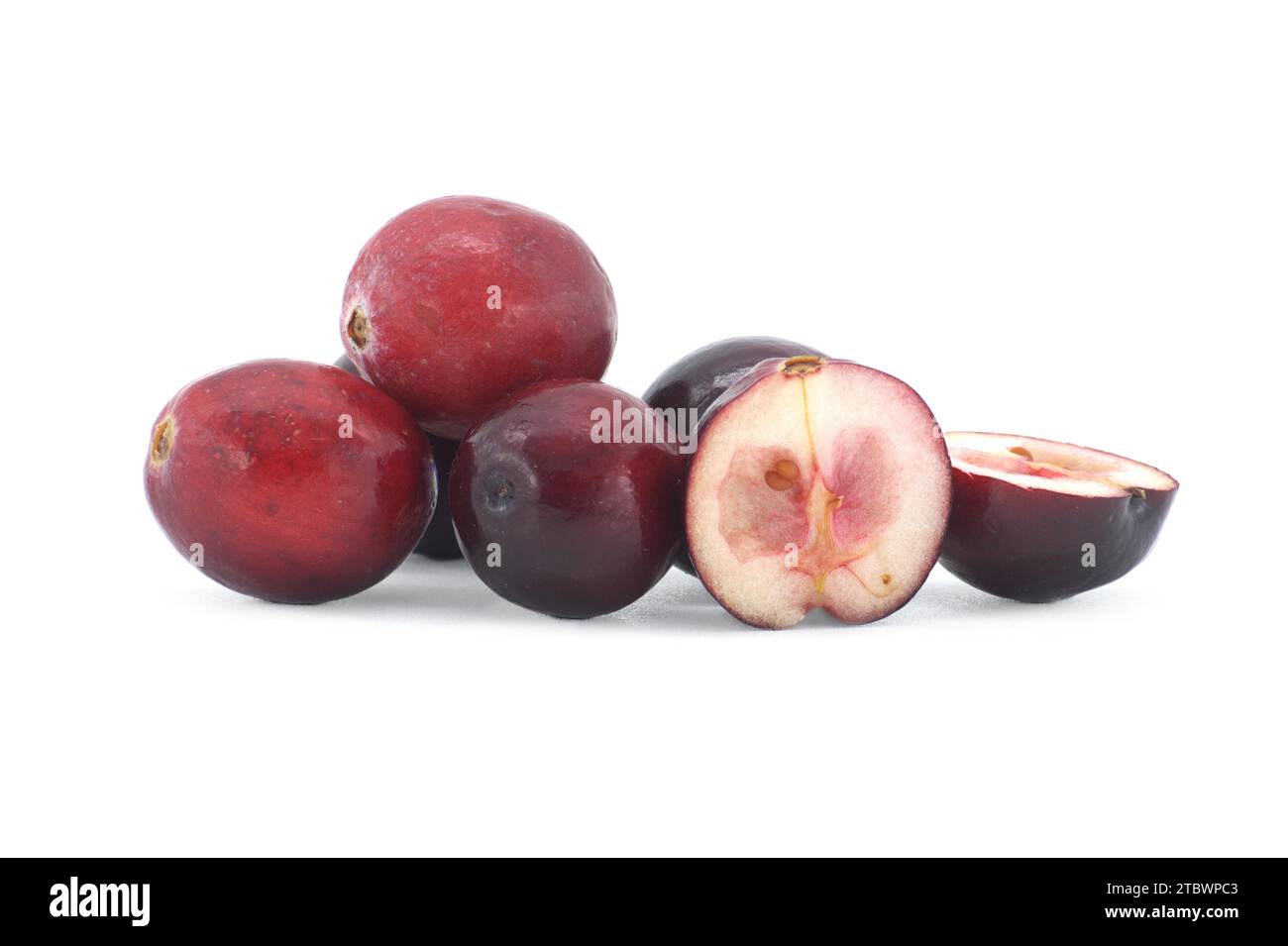 Fresh cranberries and cranberry berry cut in half isolated on white ...