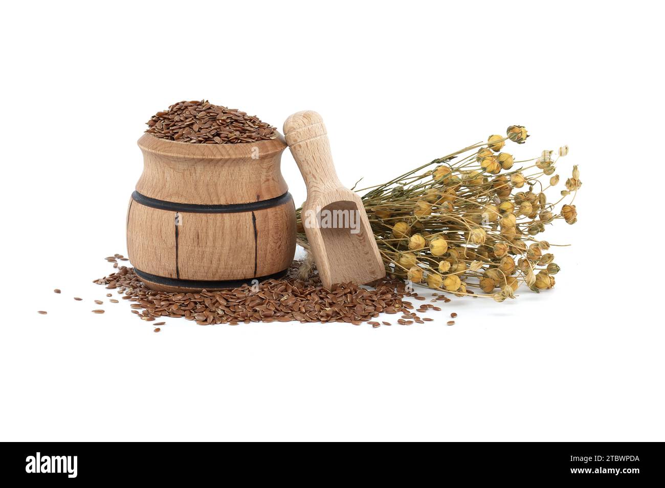 Linseed in small wooden barrel near bunch of flax plants and wooden scoop isolated on white ...
