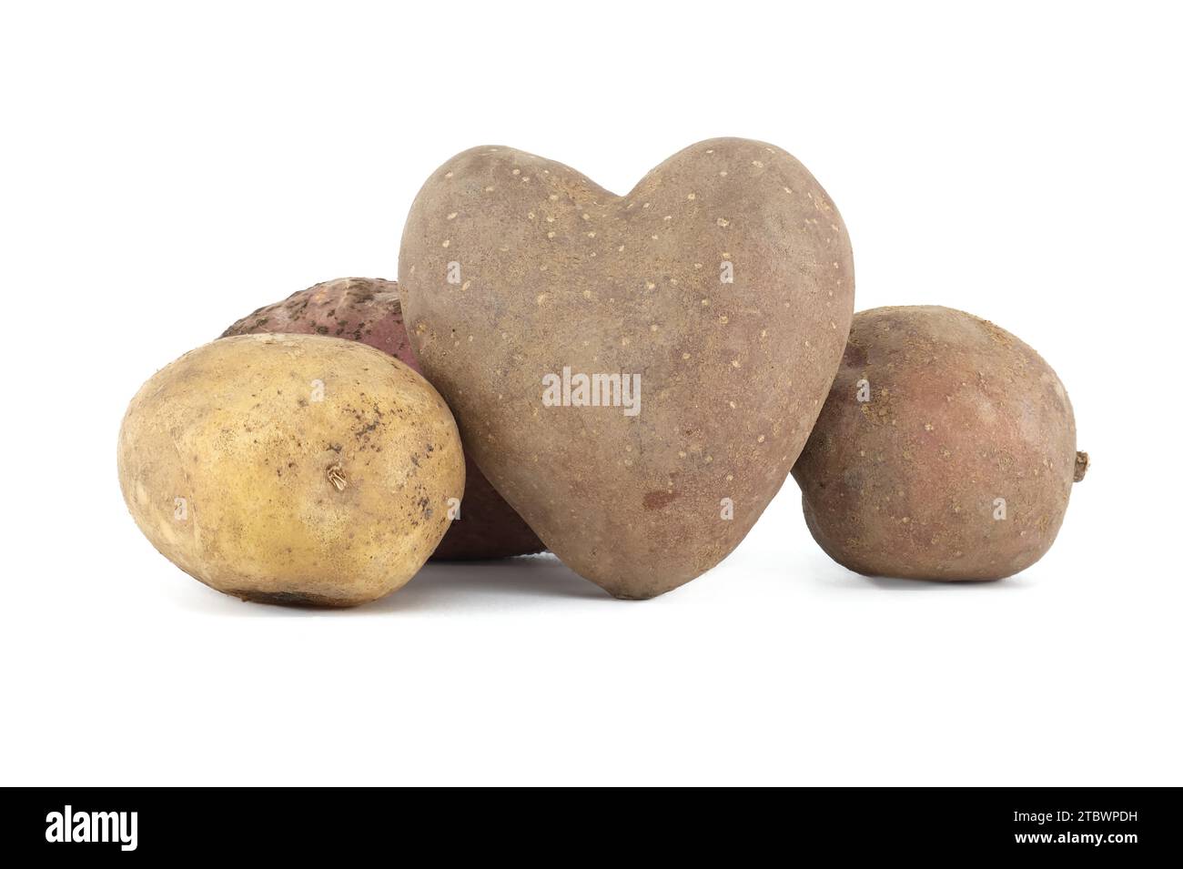 Heart-shaped potato in front of a pile of multicolored potatoes over a ...