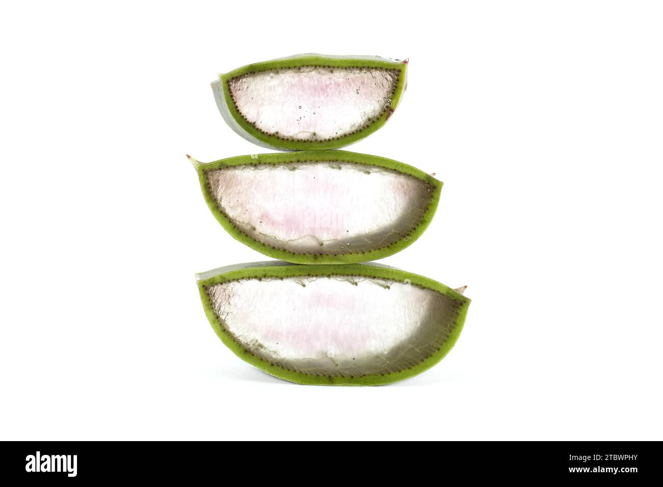 Cut foliage background hi-res stock photography and images - Alamy