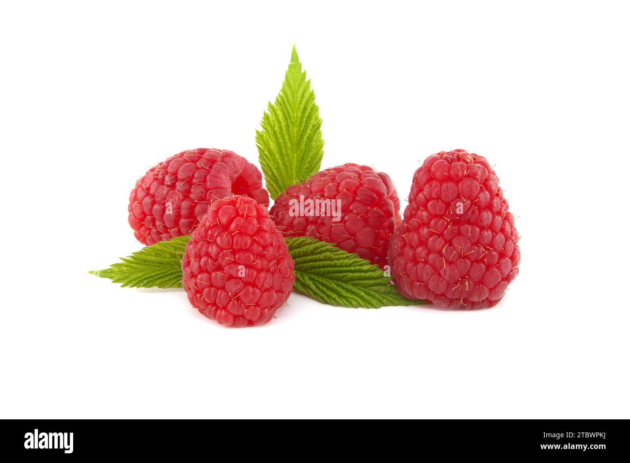 Red ripe raspberry berries with green leaves. Side view, isolated on ...