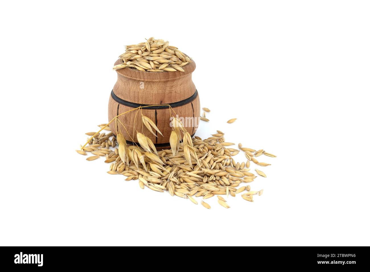 Oat grains with hulls or husks in small wooden barrel isolated on a ...