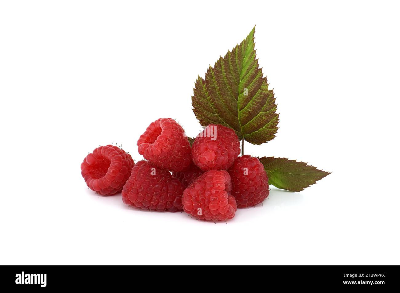 Bunch of ripe raspberry fruits with green leaves isolated on white ...