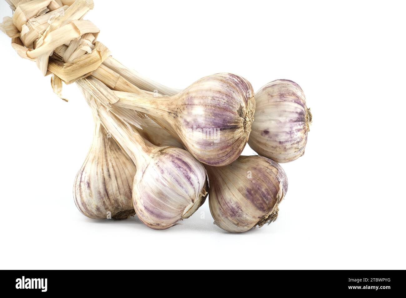 Braided garlic bulbs ready for storage isolated on white background ...