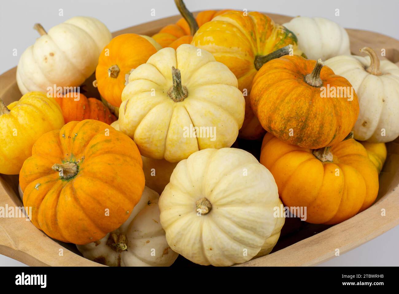 Organic decorative dwarf pumpkins in a wooden trough isolated on white ...