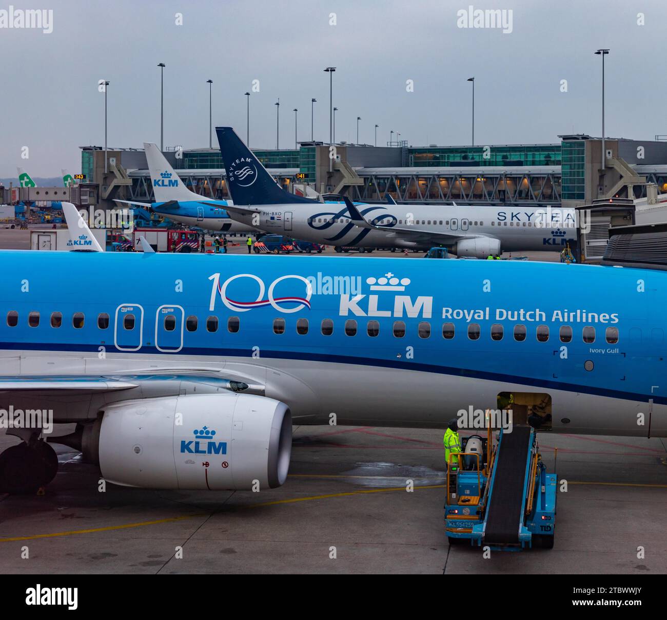 A picture of some airplanes parked at the Schiphol Airport, focused on a KLM model that ...